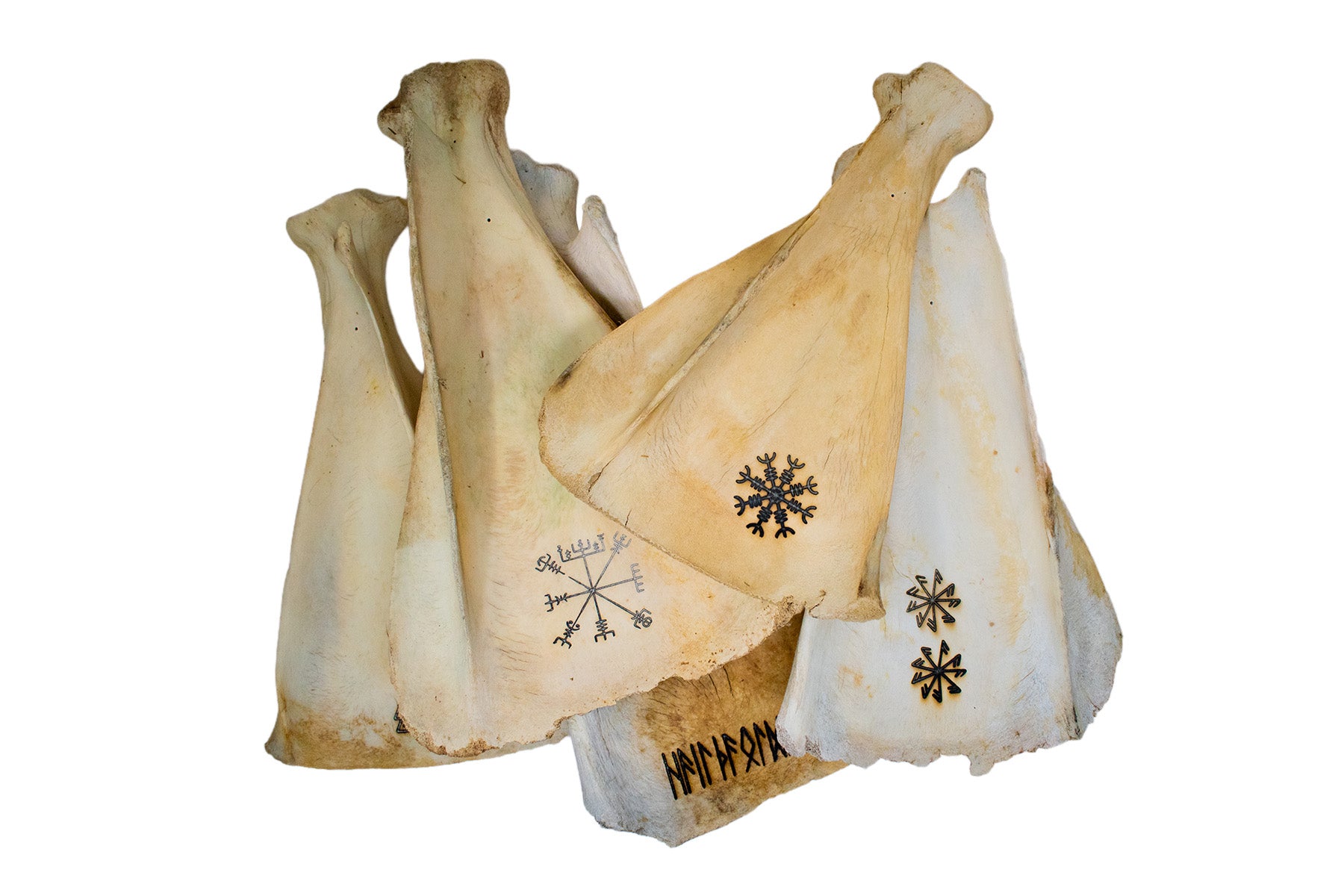 elk scapula incense dish