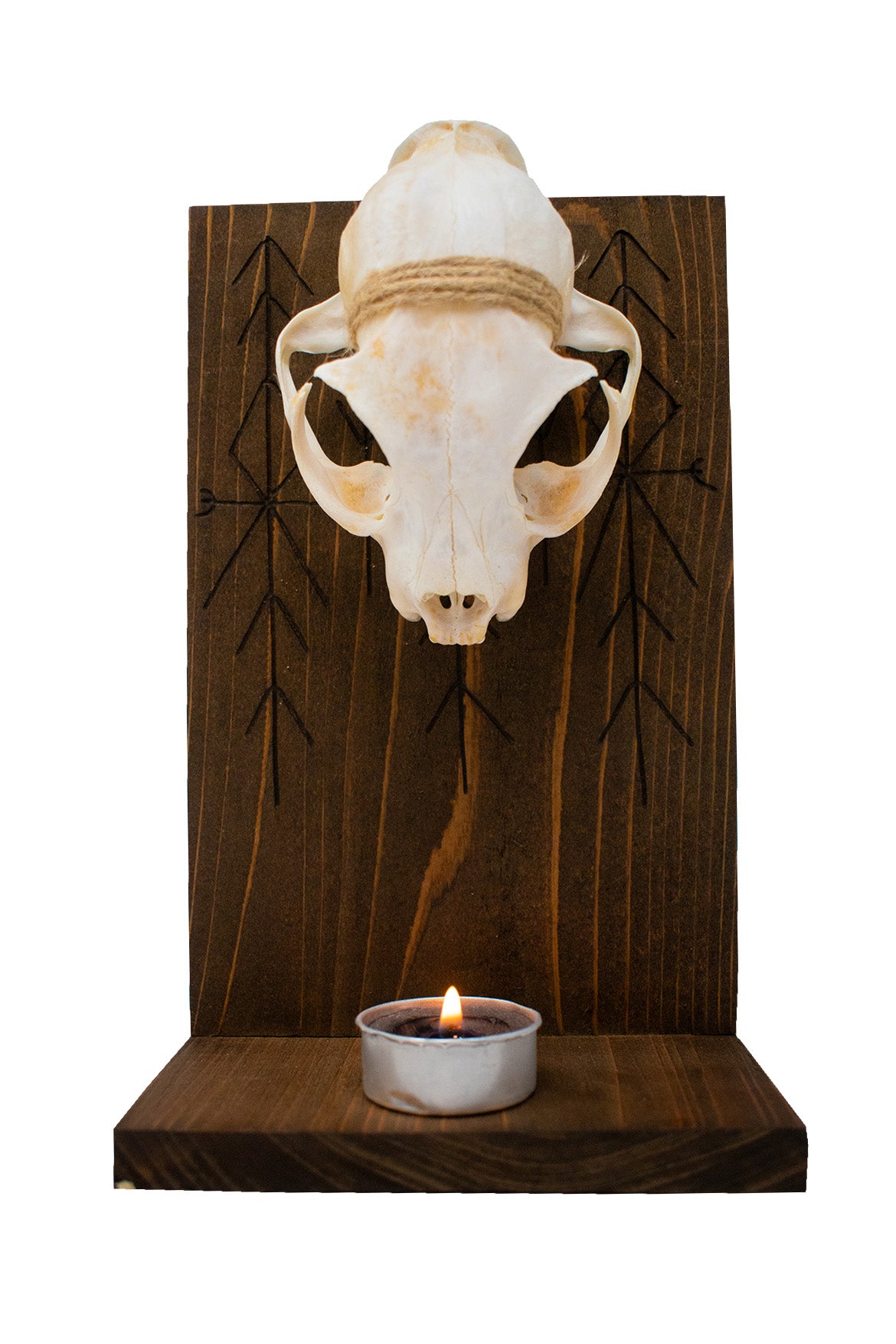 home protection bind rune and bobcat skull altar